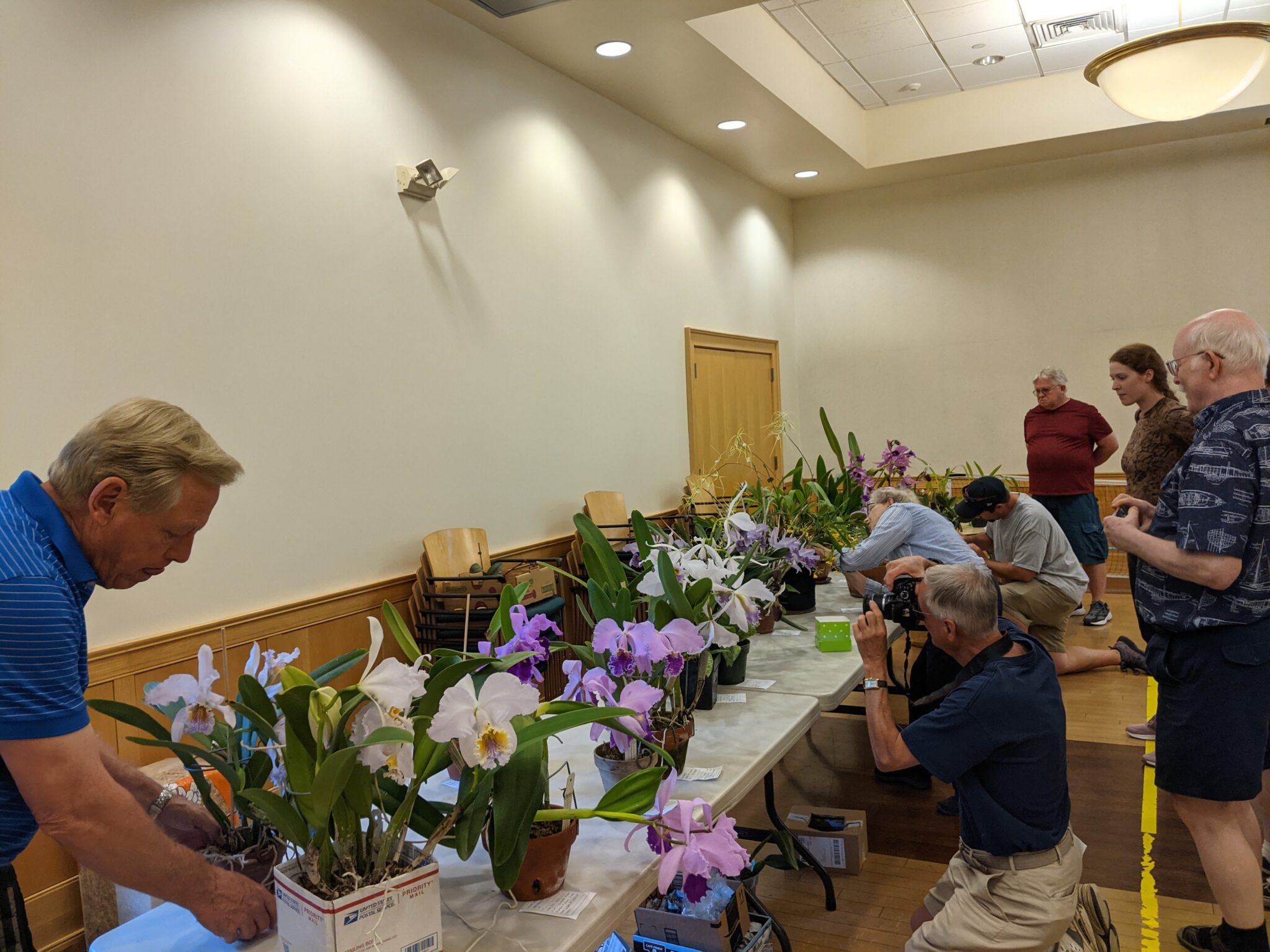 The Connecticut Orchid Society | The first, original orchid society in ...